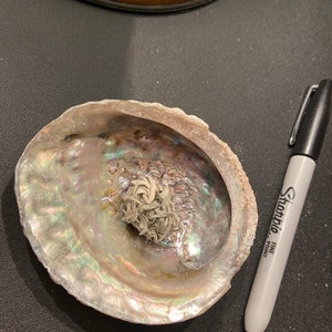 Smudge Shell With Sage (personal Size) - Etsy