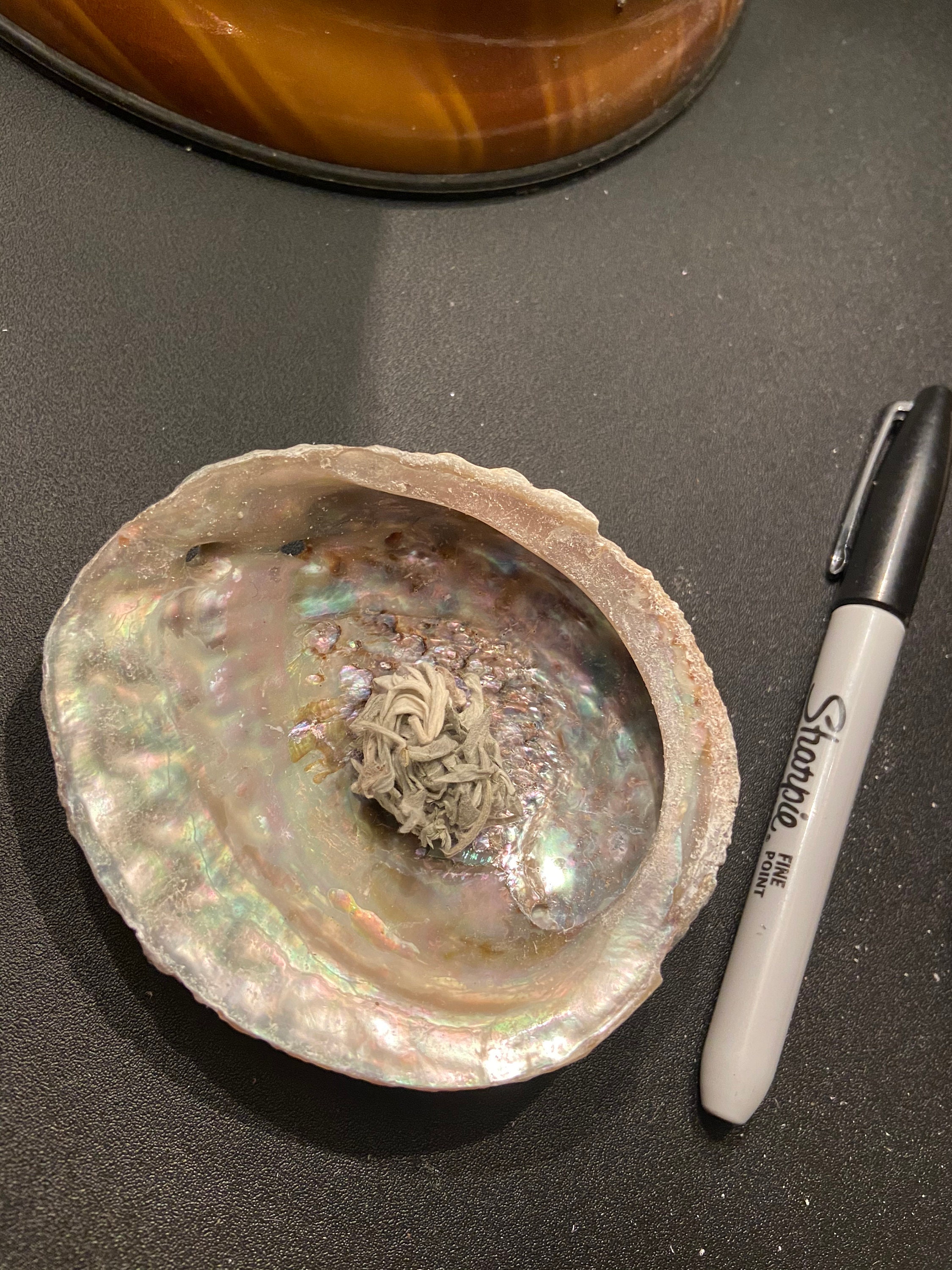 Smudge Shell With Sage personal Size | Etsy