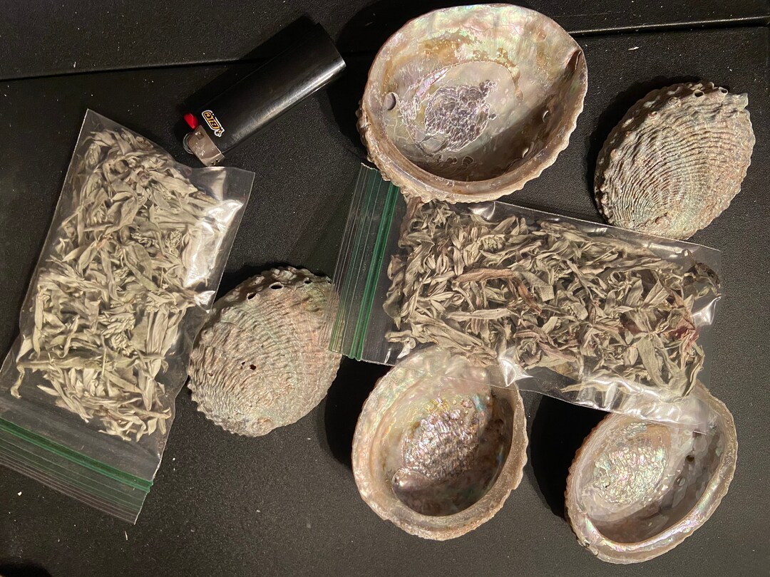 Smudge Shell With Sage personal Size - Etsy