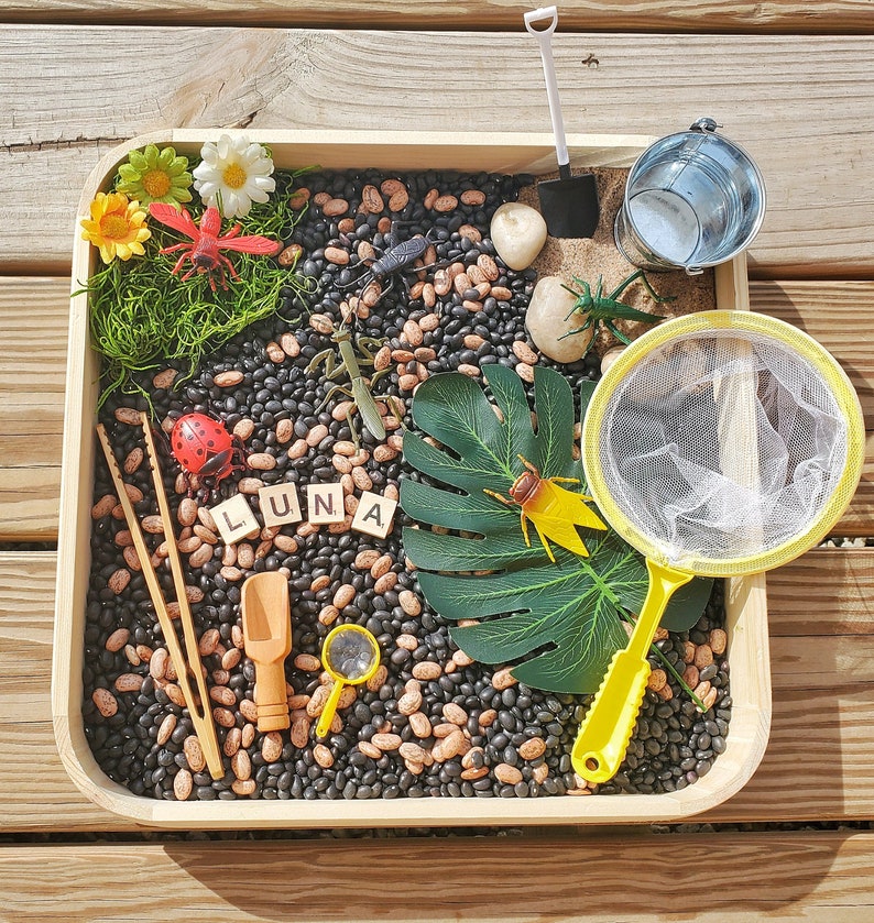 Incredible Insect Sensory Bin for Preschoolers