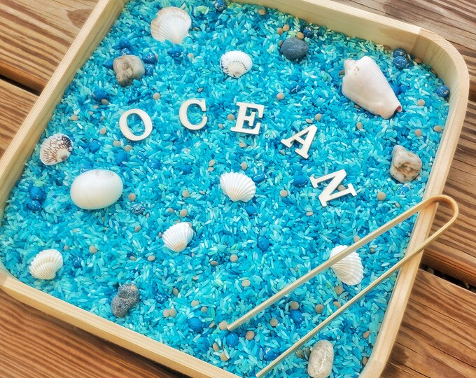 Ocean Sensory Bin Filler, Natural Sensory Bin Filler, Sea Shell Sensory ...