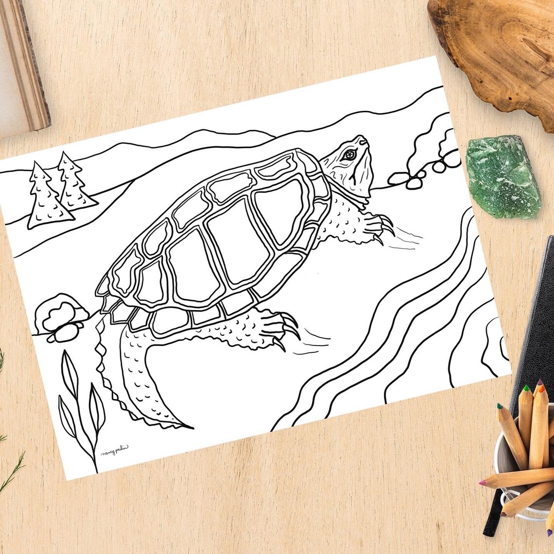 10 cartes animaux sauvages du Québec à colorier cadeau enfant - Etsy Canada