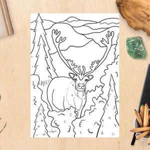 10 cartes animaux sauvages du Québec à colorier cadeau enfant - Etsy Canada