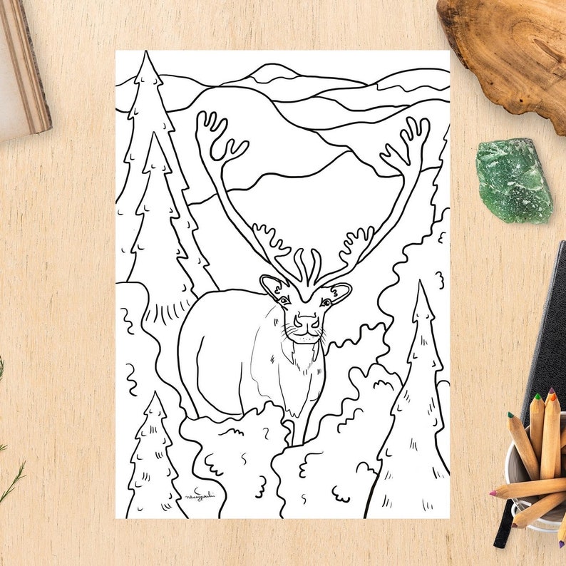 10 cartes animaux sauvages du Québec à colorier cadeau enfant - Etsy Canada