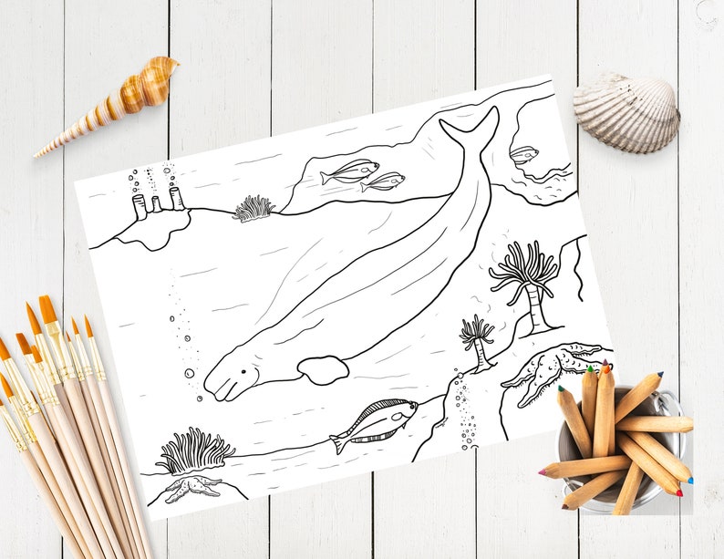 10 cartes animaux sauvages du Québec à colorier cadeau enfant - Etsy Canada