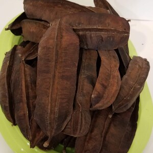 PREKESE, Aidan Fruit Pod, Tetrapleura Tetraptera, Africa Herbs, 10oz - Etsy