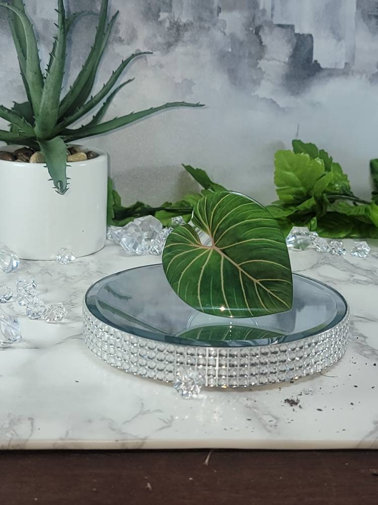 Tropical Rare Leaf Plant| Palm Lead Phone Grip | Monsters Phone Grip ...