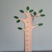 Laser Cut Tree Growth Chart Ruler: SVG DXF File (972x662 Mm) - Etsy