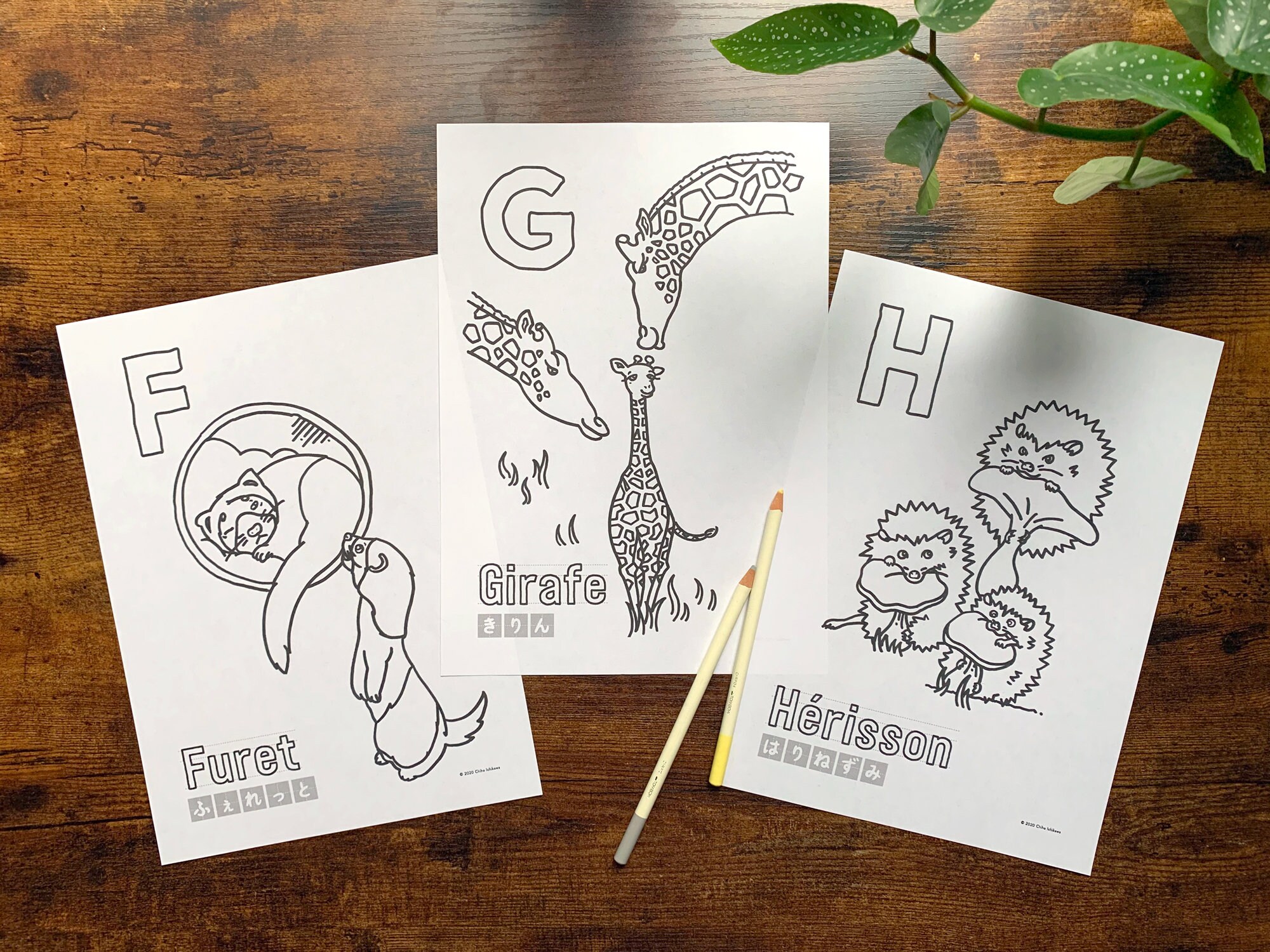 FRANCO-JAPANESE Alphabet Coloring Book, Wild Animals Coloring ...