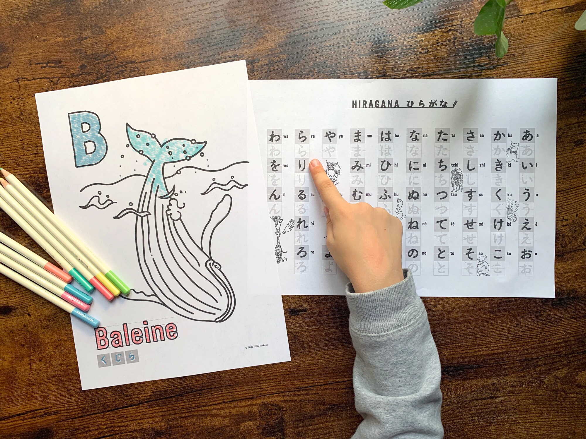 FRANCO-JAPANESE Alphabet Coloring Book, Wild Animals Coloring ...