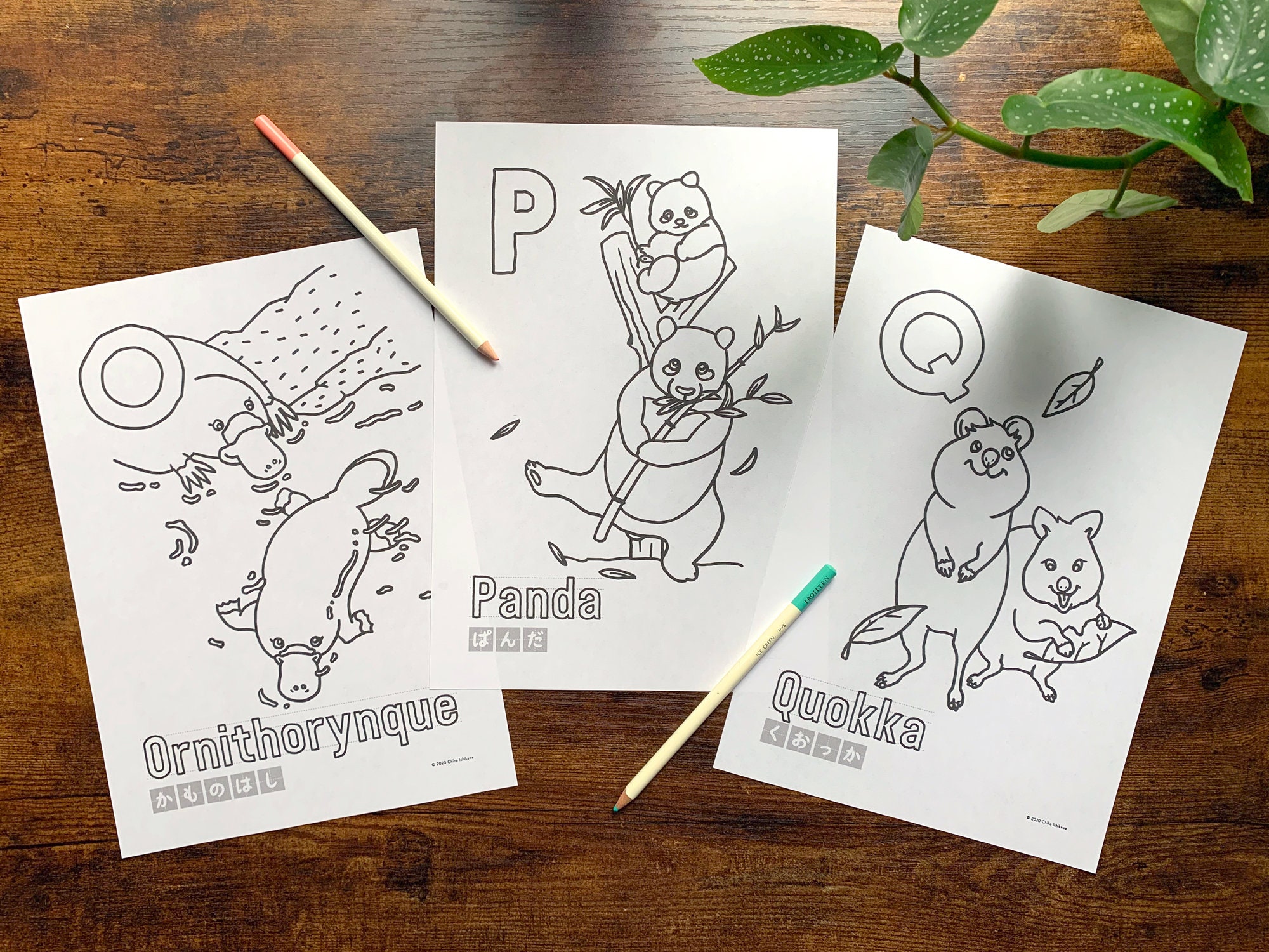 FRANCO-JAPANESE Alphabet Coloring Book, Wild Animals Coloring ...