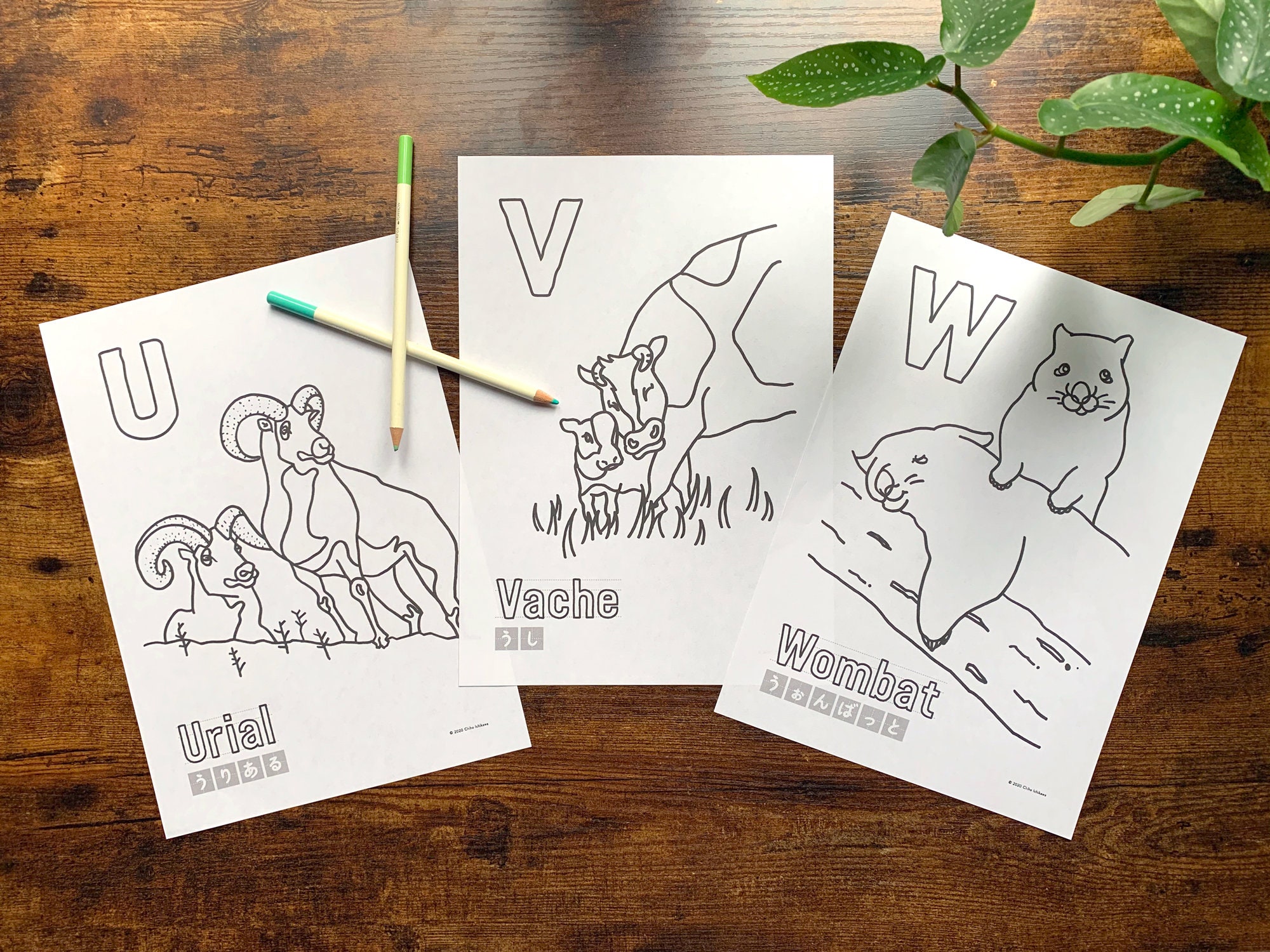 FRANCO-JAPANESE Alphabet Coloring Book, Wild Animals Coloring ...