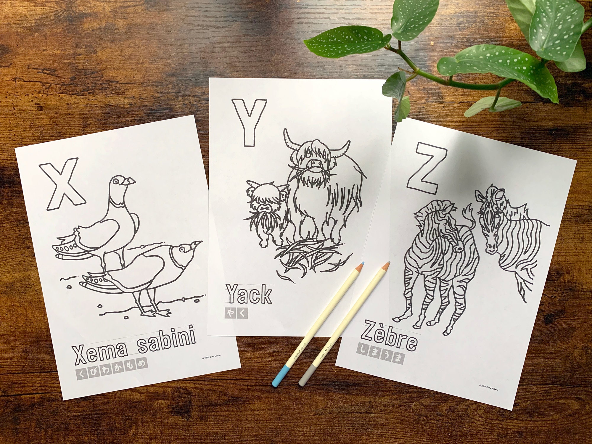 FRANCO-JAPANESE Alphabet Coloring Book, Wild Animals Coloring ...