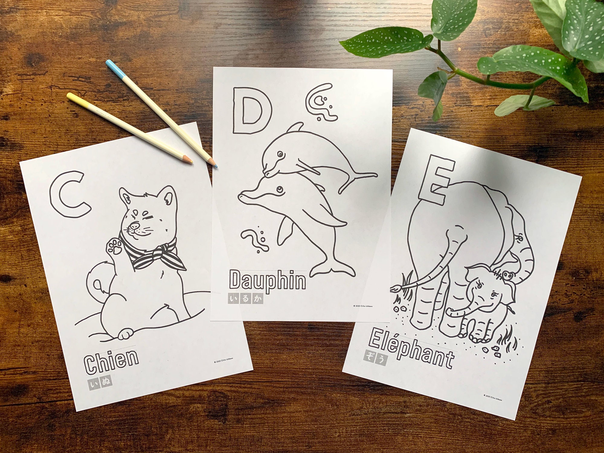 FRANCO-JAPANESE Alphabet Coloring Book, Wild Animals Coloring ...