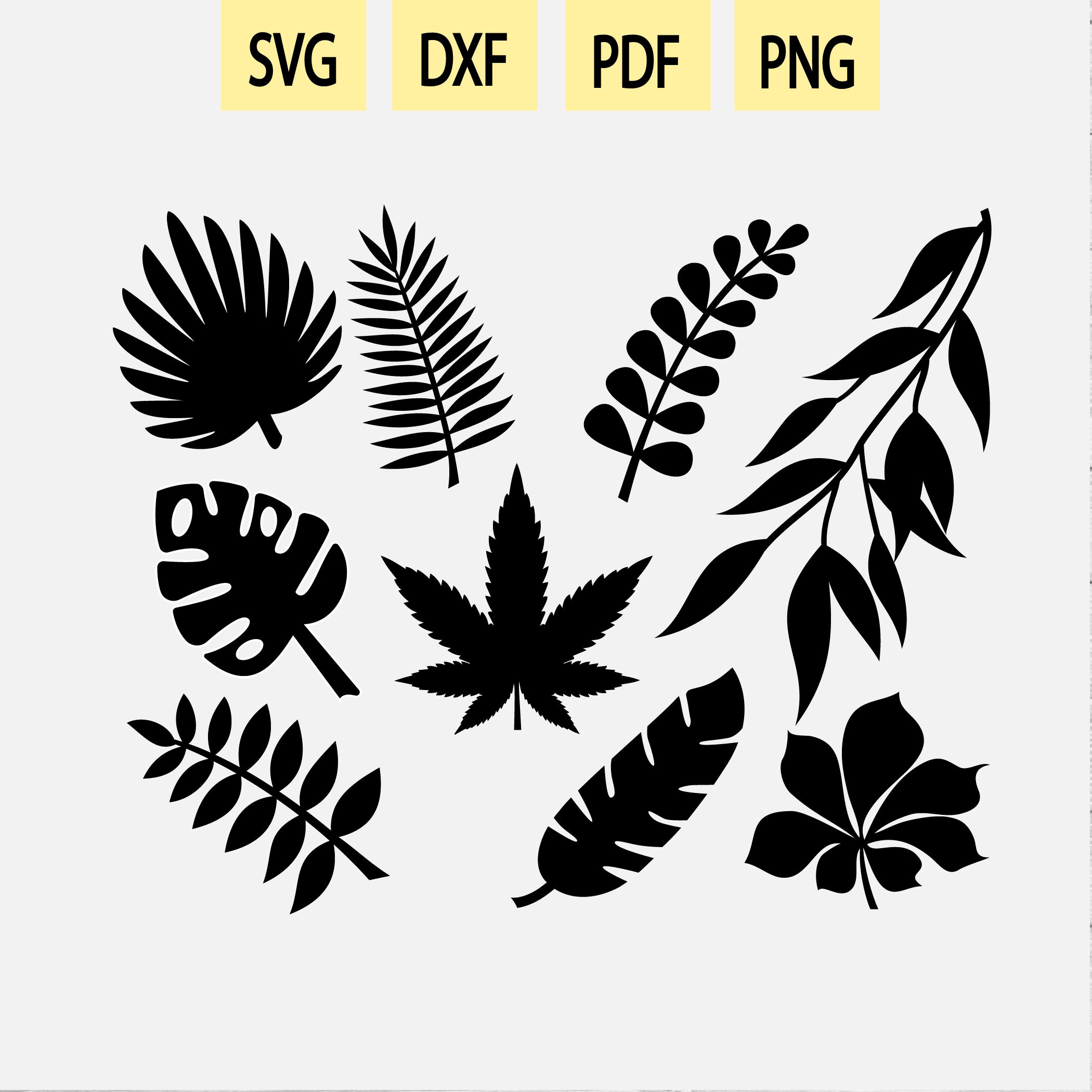Feuilles tropicales bundle svg Hemp leaf svg Banana svg | Etsy