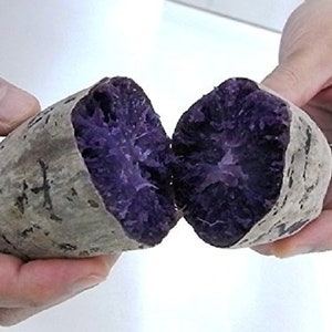 Japanese Purple Sweet Potato (1 Lb)excellent Yields and Flavor. Stores ...