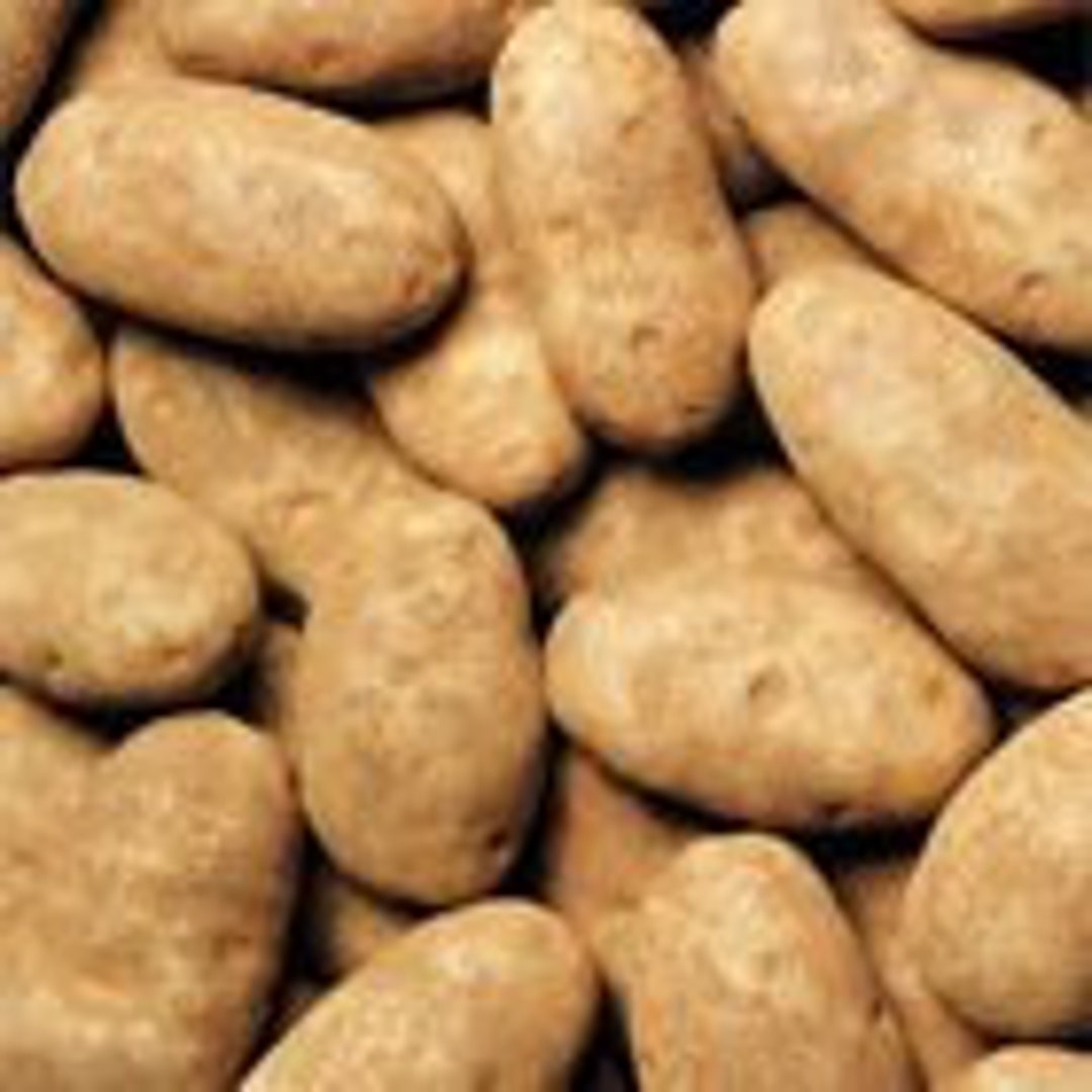 Russet Idaho Potatoes Fresh Premium Fruit and Produce Vegetables, 4 ...