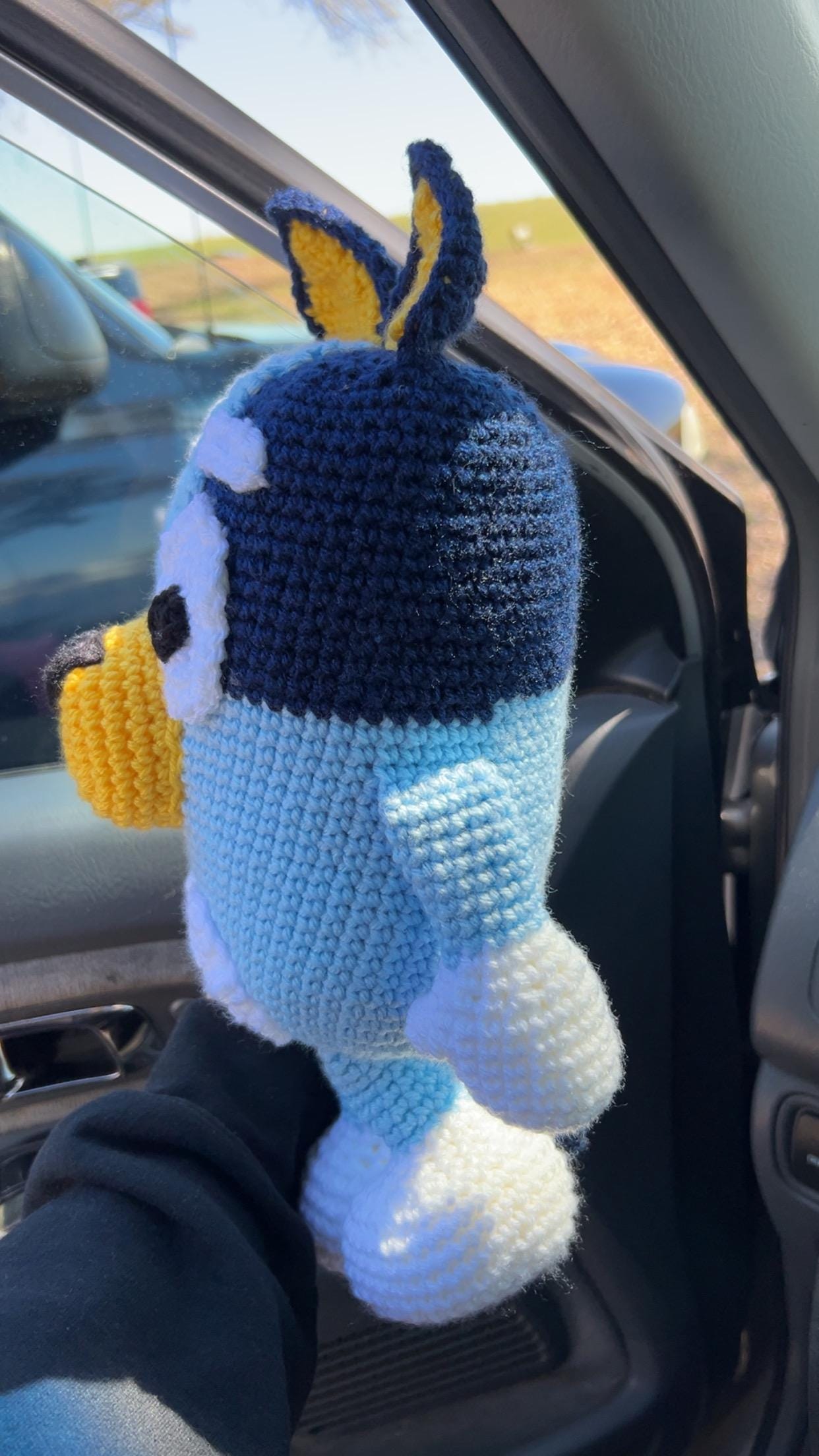 Blue Healer Crochet Amigurumi Toy for Kids - Etsy