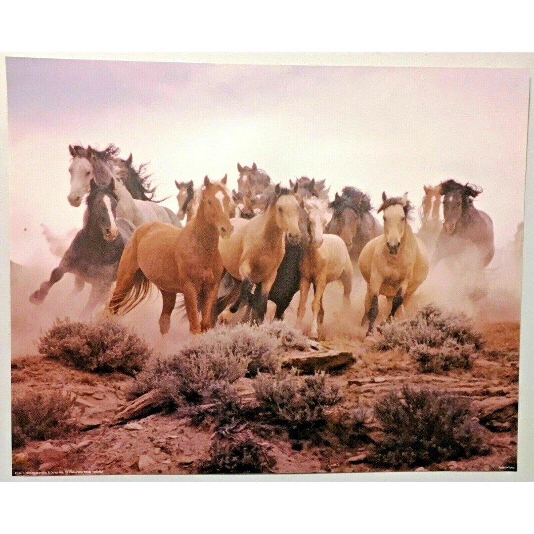 Horse Poster Print Litho Lithograph Impact #11337 Art 93 Desert Team ...