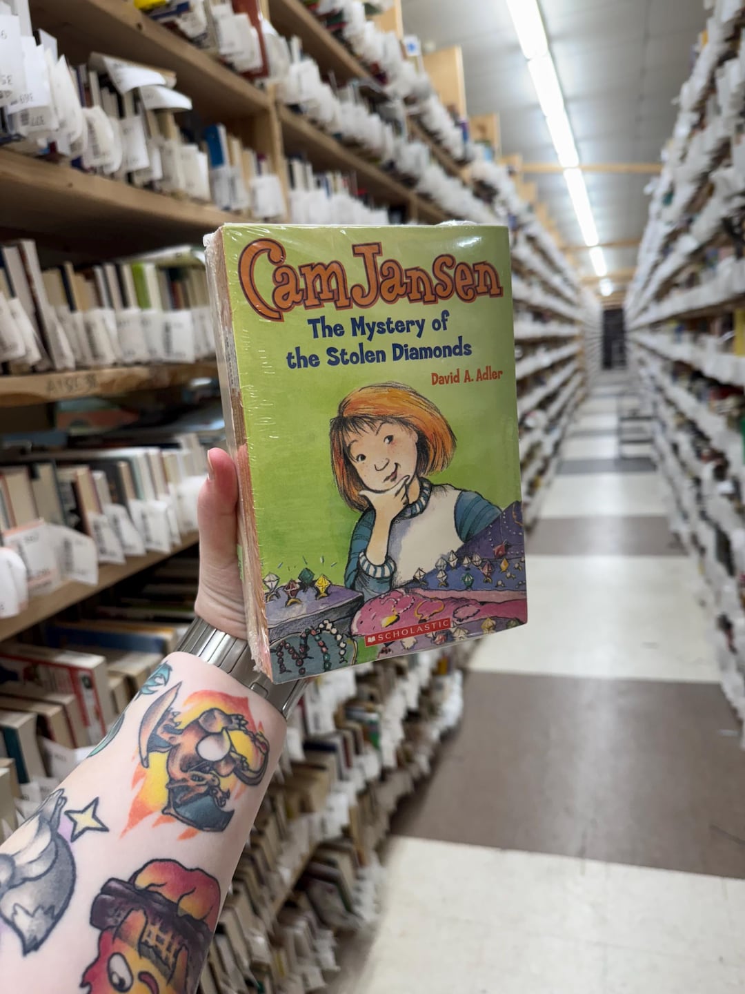 Cam Jansen 1-12 Lot, Chapter Books, Kids Books, Early Readers, Reading ...