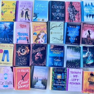Custom Mini Books Bundle TBR Bookshelves Tiny Miniature Book Collection ...