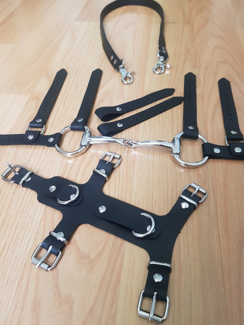 BDSM Pony Play Bit Gag, Stainless Steel Bit Gag - Etsy Finland