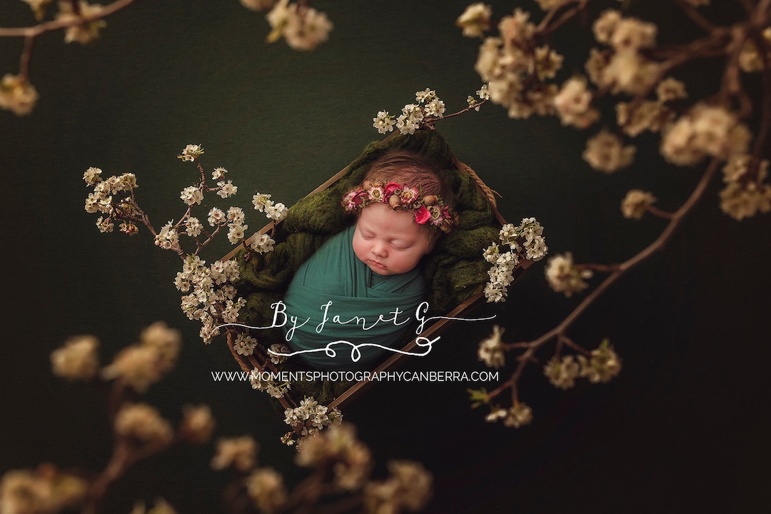 Newborn Spring Digital Backdrop, Newborn Digital Background, Floral ...