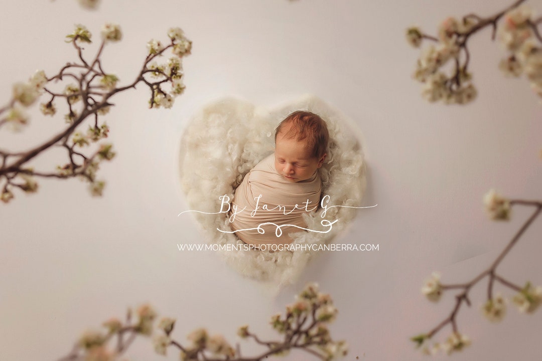 Newborn Spring Digital Backdrop, Newborn Digital Background, Floral ...
