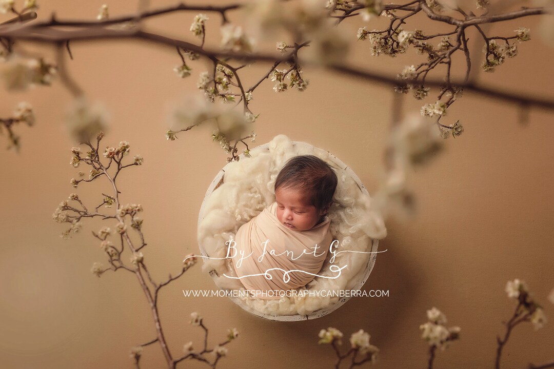 Newborn Spring Digital Backdrop, Newborn Digital Background, Floral ...