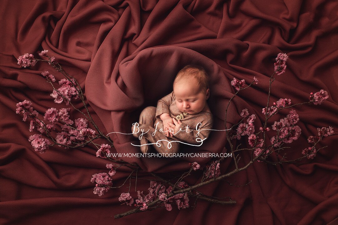 Newborn Spring Digital Backdrop, Newborn Digital Background, Floral ...