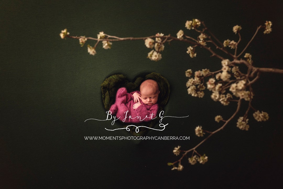 Newborn Spring Digital Backdrop, Newborn Digital Background, Floral ...