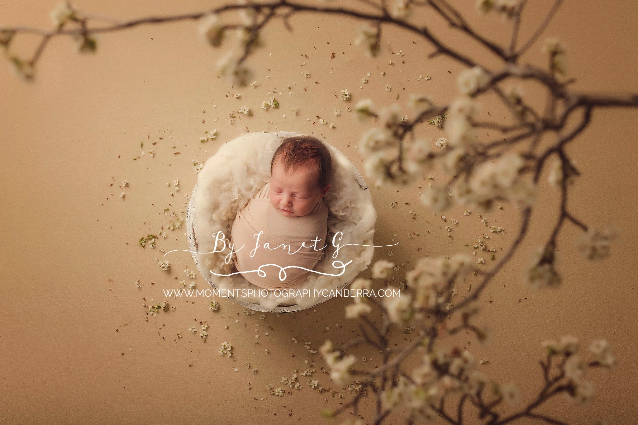 Newborn Spring Digital Backdrop, Newborn Digital Background, Floral ...