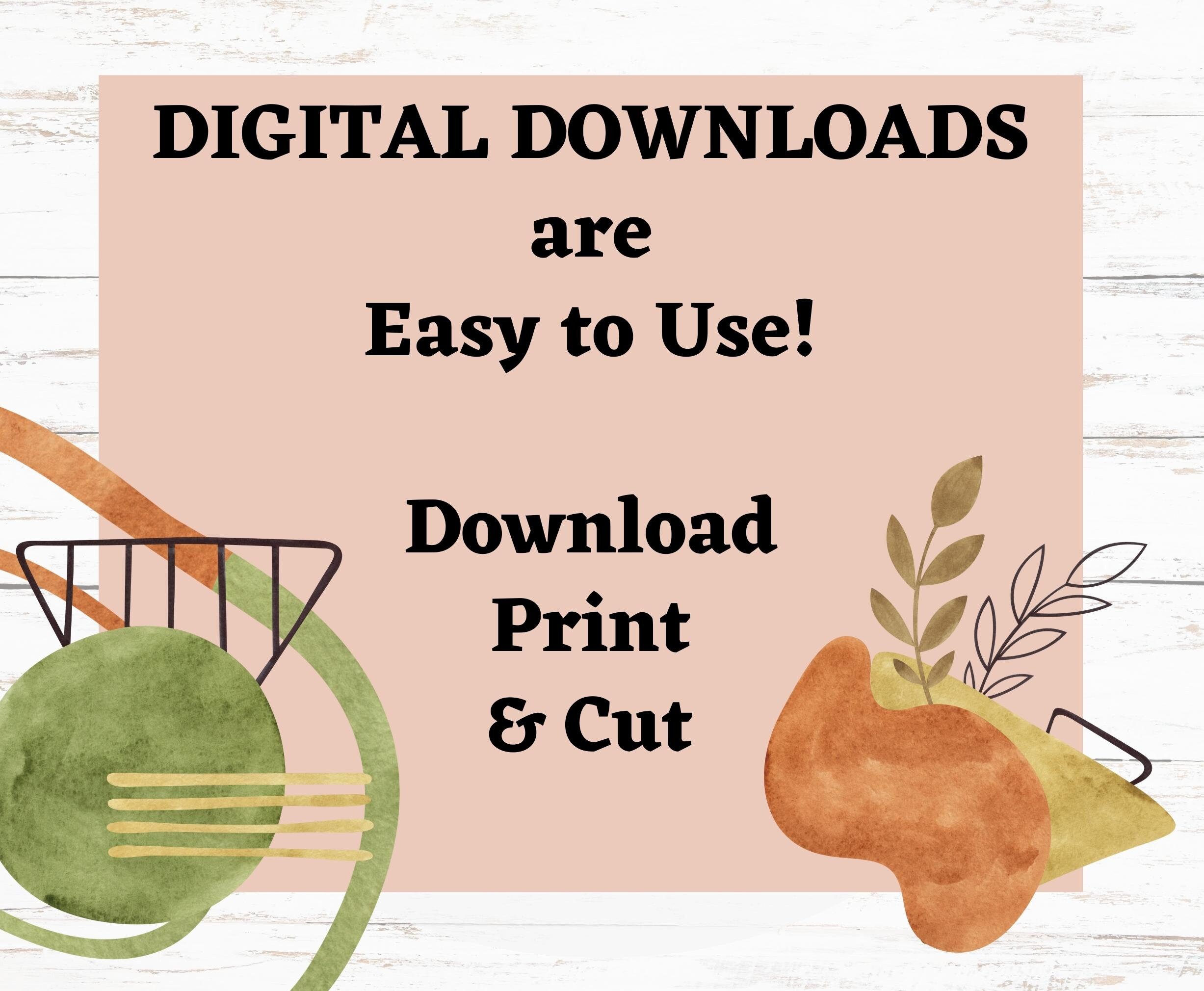 Ladybug Music Alphabet Game | Preschool Piano Flashcards (digital ...