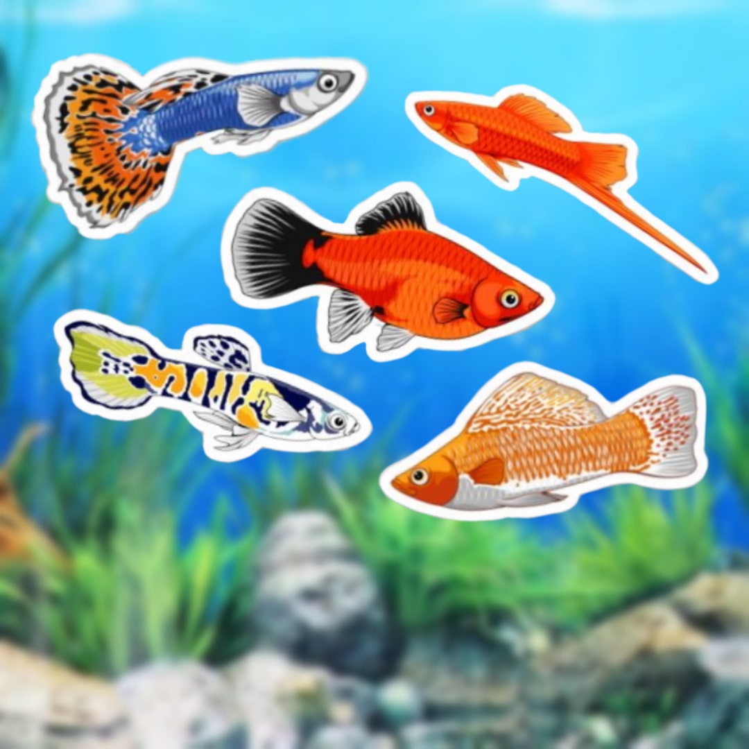 3" Fish Stickers 5 Pack - Guppy, Molly, Platy, Swordtail and Tiger ...