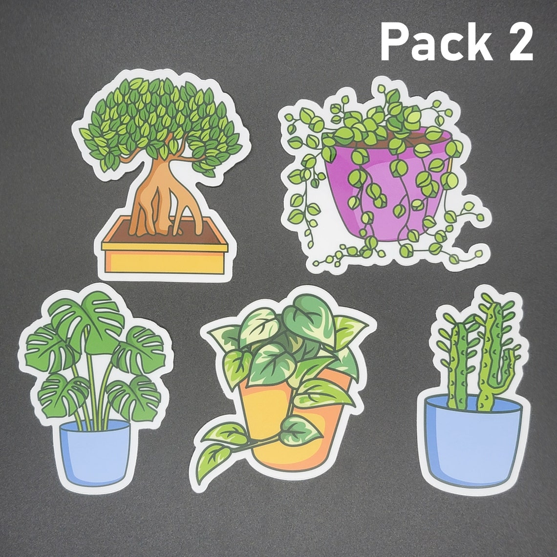 Houseplant Stickers 10 Pack 3 Matte Waterproof UV | Etsy