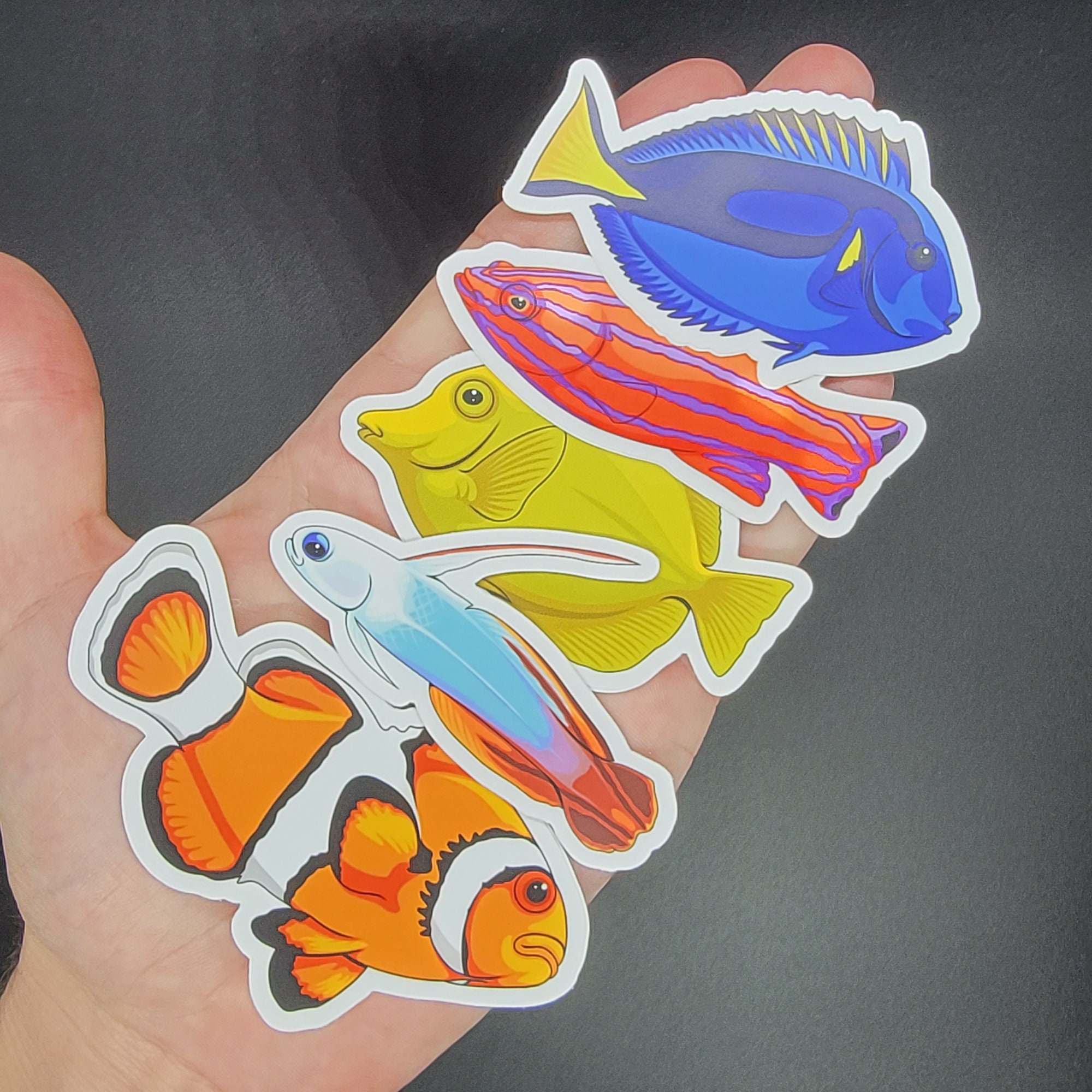 Saltwater Fish Stickers - 5 Pc. 3" Stickers, Matte Vinyl, Waterproof ...