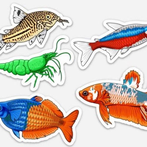 Saltwater Fish Stickers 5 Pc. 3 Stickers Matte Vinyl - Etsy