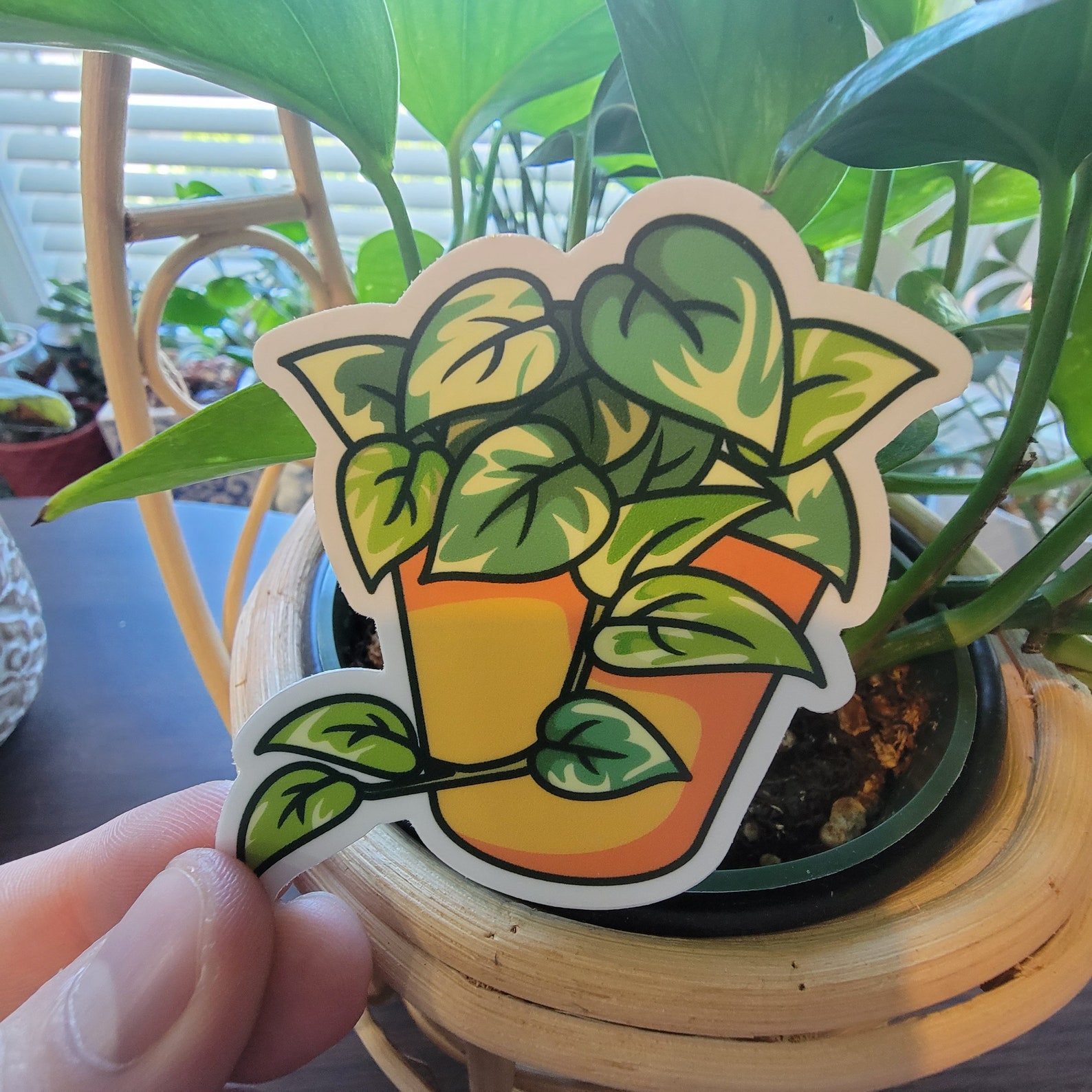 Houseplant Stickers 10 Pack 3 Matte, Waterproof, UV Proof, Durable ...