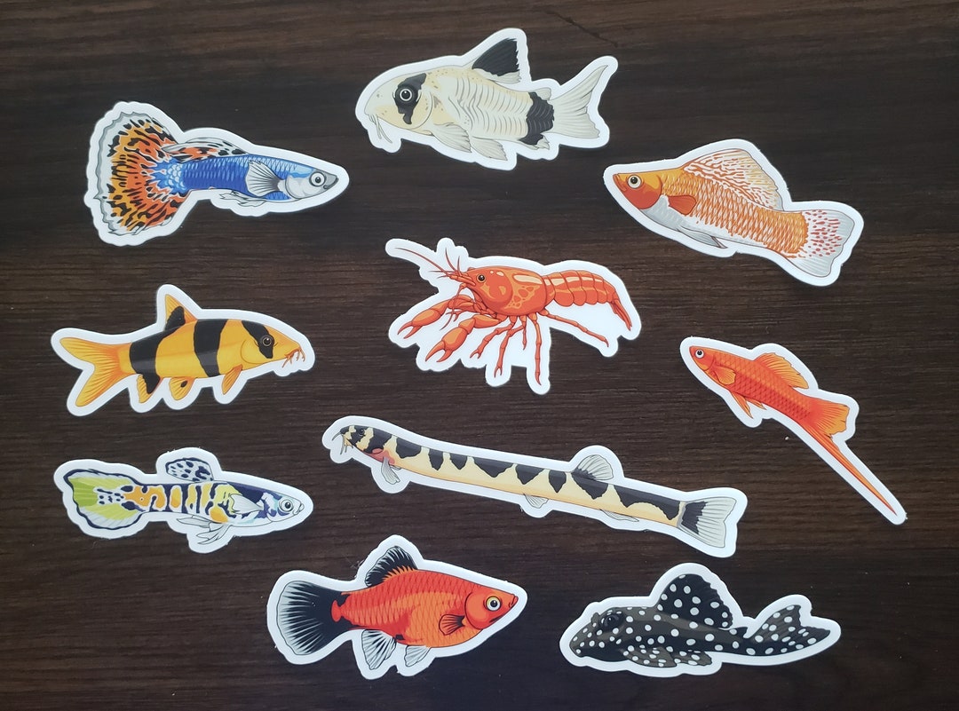 Fish Sticker Packs - Waterproof, UV Resistant, Dishwasher Safe, Die-cut ...