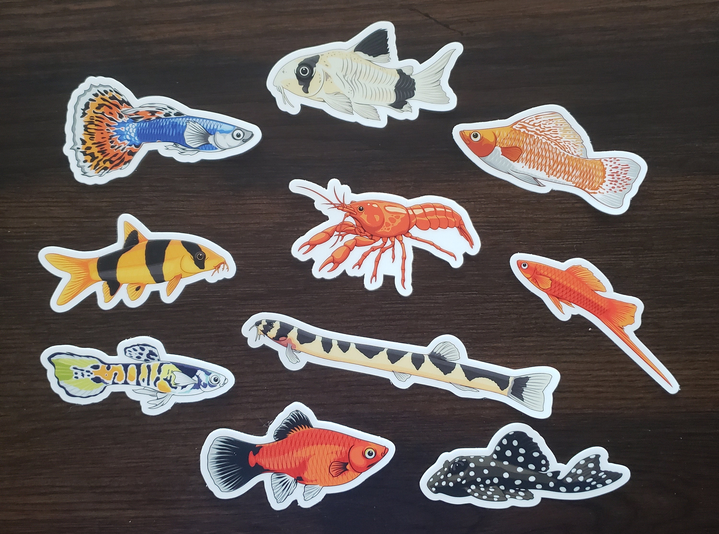Fish Sticker Packs Waterproof UV Resistant Dishwasher - Etsy UK
