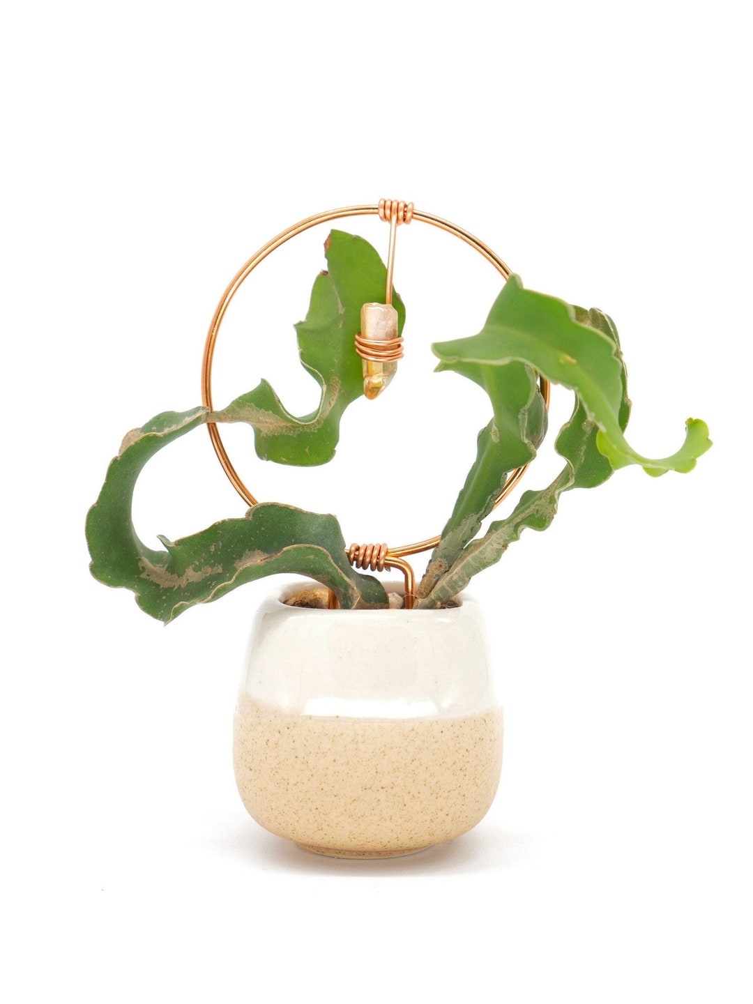 Circle Crystal Trellis (small) | Plant Trellis - Etsy