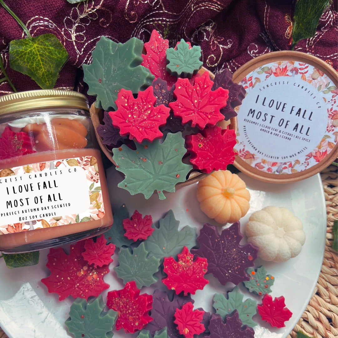 I Love Fall Most of All Wax Melts, Autumn Wax Melts, Fall Decor, Pumpkin Scented Candle, Fall ...