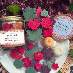 I Love Fall Most of All Wax Melts, Autumn Wax Melts, Fall Decor ...
