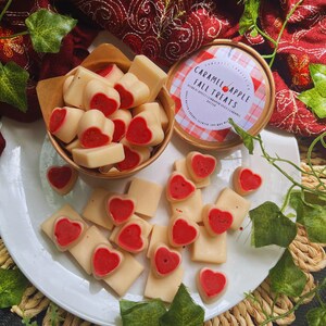 Caramel Apple Fall Treats Wax Melts, Pumpkin Shaped Wax Melts, Fall ...