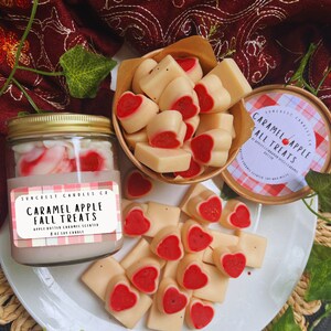 Caramel Apple Fall Treats Wax Melts, Pumpkin Shaped Wax Melts, Fall ...