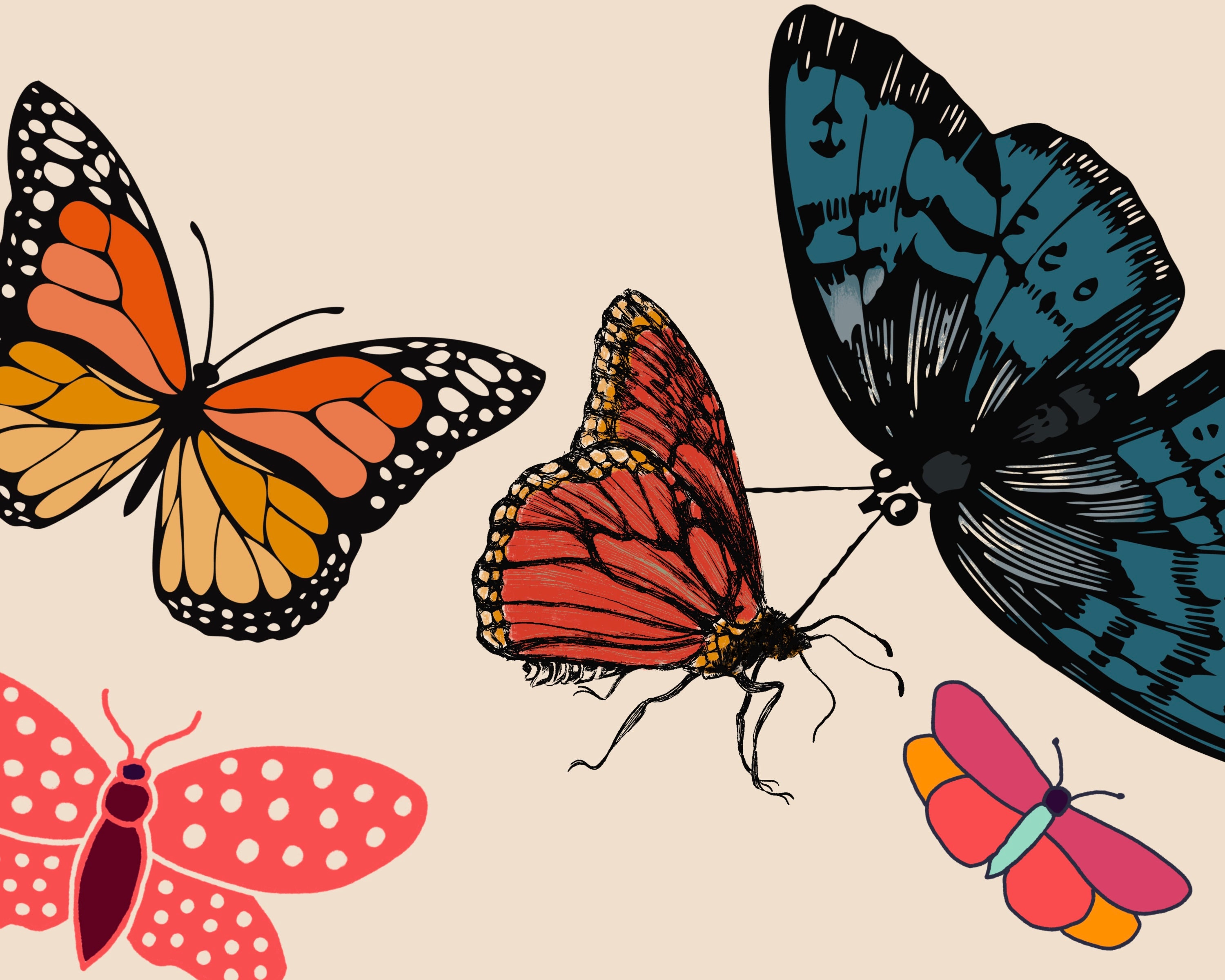Procreate Butterfly Stamps Procreate Butterflies/ Butterfly - Etsy