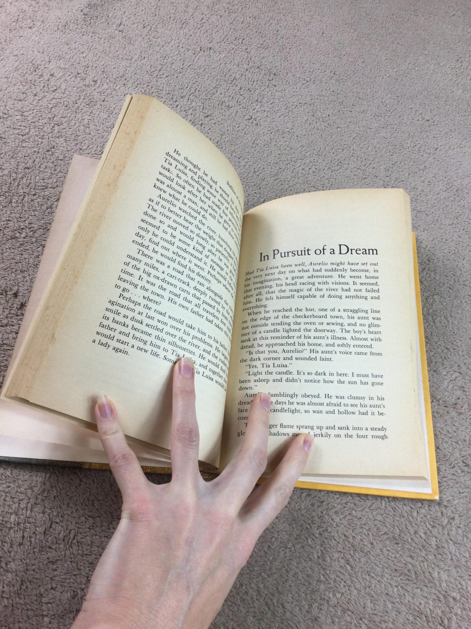 Stallion of the Sands by Helen Griffiths, Vintage Childrens Book, First ...