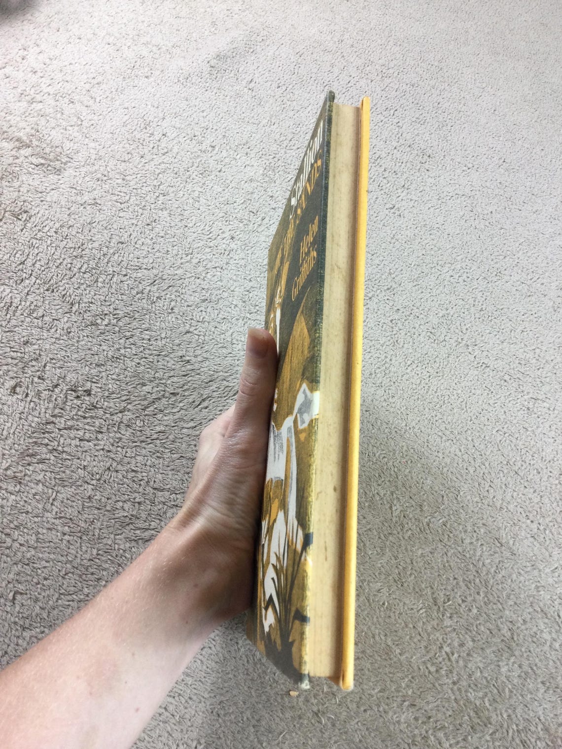 Stallion of the Sands by Helen Griffiths, Vintage Childrens Book, First ...