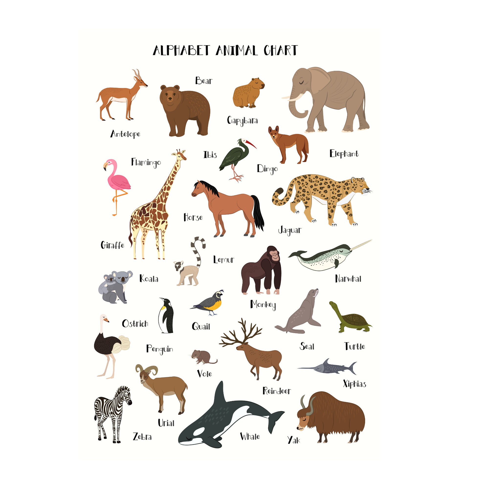 Animal Alphabet | Alphabet Print | Home Schooling | Kids | Learn ...