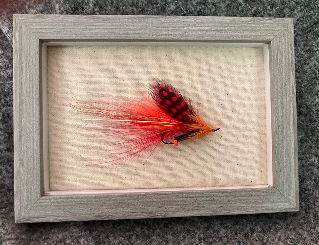 Large Fly Pin Shadow Box - Etsy
